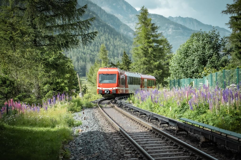 Mont-Blanc Express : le train panoramique pour Chamonix au cœur des ...